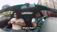 Noise pollution GIFs - Get the best gif on GIFER