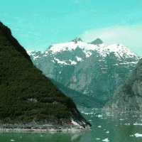 Collage GIFs - Get the best gif on GIFER