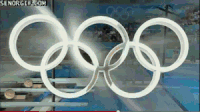 Olympics GIFs - Get the best gif on GIFER
