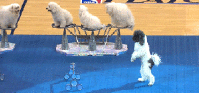 Hurdles GIFs - Get the best gif on GIFER