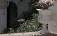 Gabba GIFs - Get the best gif on GIFER