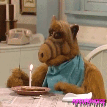 Alf GIFs - Get the best gif on GIFER