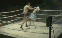 Boxing ring GIFs - Get the best gif on GIFER