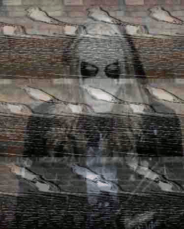 Raw black metal GIF - Conseguir o melhor gif em GIFER