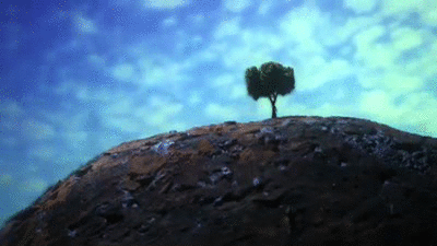Front screen GIF - Conseguir el mejor gif en GIFER