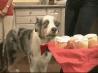 Approach GIFs - Get the best gif on GIFER