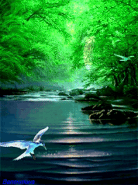 Natural GIFs - Get the best gif on GIFER