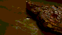 Steaks GIFs - Get the best gif on GIFER