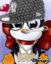 Chilly GIFs - Get the best gif on GIFER