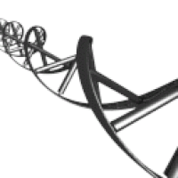 Adn GIFs - Obtenez le meilleur gif sur GIFER