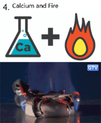 Calciums GIFs - Get the best gif on GIFER