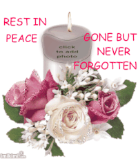 Rest GIFs - Get the best gif on GIFER