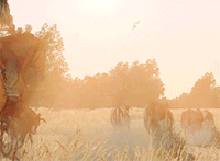 Red dead redemption 2 GIF - Conseguir o melhor gif em GIFER