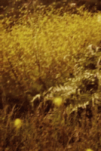 Seance GIFs - Get the best gif on GIFER