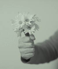Beginner GIFs - Get the best gif on GIFER