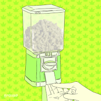 Sativa GIFs - Get the best gif on GIFER