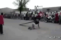 Stupidity GIFs - Get the best gif on GIFER