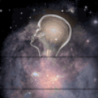 Pineal GIFs - Get the best gif on GIFER