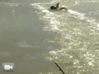 Save GIFs - Get the best gif on GIFER