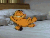 Garfield GIFs - Get the best gif on GIFER