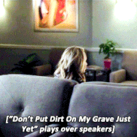 Amuse GIFs - Get the best gif on GIFER