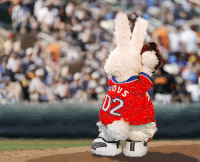 Pitching GIFs - Get the best gif on GIFER