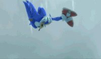 Sonic the hedgehog GIF - Conseguir o melhor gif em GIFER