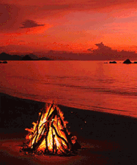 Playa GIFs - Get the best gif on GIFER