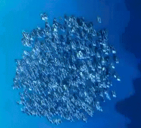 Front GIFs - Get the best gif on GIFER