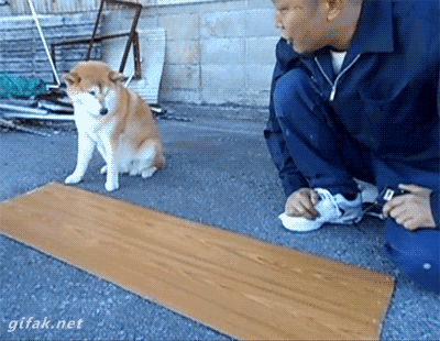 Distance GIFs - Get the best gif on GIFER