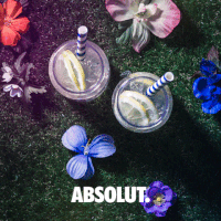 Midsummer GIFs - Get the best gif on GIFER