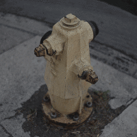 Fire hydrant GIFs - Get the best gif on GIFER
