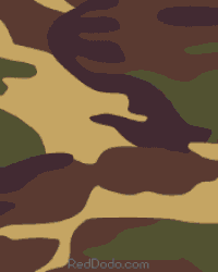 Camouflage GIFs - Get the best gif on GIFER