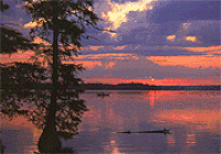 Lagos GIFs - Get the best gif on GIFER