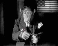 12 monkeys GIFs - Get the best gif on GIFER