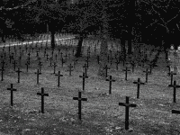 Graveyard GIFs - Get the best gif on GIFER