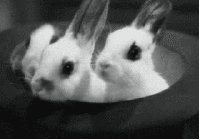 Disappeared GIFs - Get the best gif on GIFER