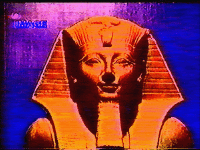 Maximal GIFs - Get the best gif on GIFER