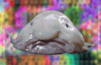 Blob GIFs - Get the best gif on GIFER