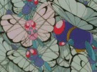 Butterfree GIFs - Get the best gif on GIFER