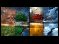 Season GIFs - Get the best gif on GIFER