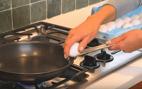 Omelet GIFs - Get the best gif on GIFER