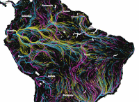 Миграция GIFs - Get the best gif on GIFER