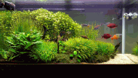 Freshwater GIFs - Get the best gif on GIFER