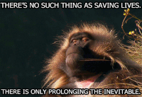 Stoic GIFs - Get the best gif on GIFER