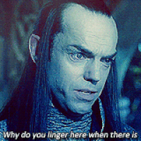 Elrond GIFs - Get the best gif on GIFER