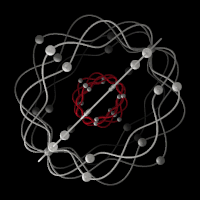 Circular GIFs - Get the best gif on GIFER