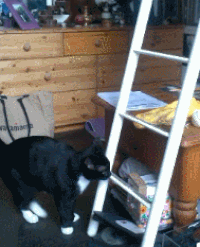 Unpacking GIFs - Get the best gif on GIFER