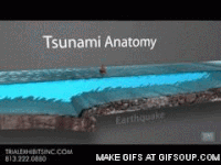 Tsunami GIFs - Get the best gif on GIFER