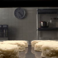 Biscuit GIFs - Get the best gif on GIFER
